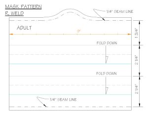 The “Perfect” Face Mask – The Cookie Architect